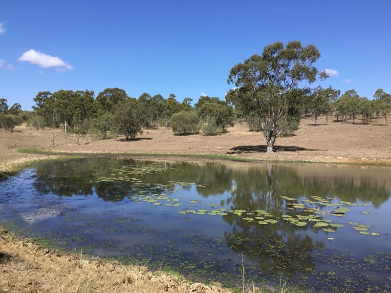 195 Gladstone Monto Road, Calliope, Qld 4680