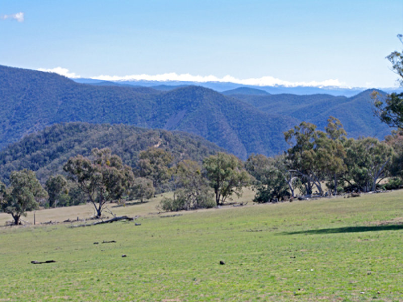 Snodgrass, Delegate, NSW 2633 - Property Details