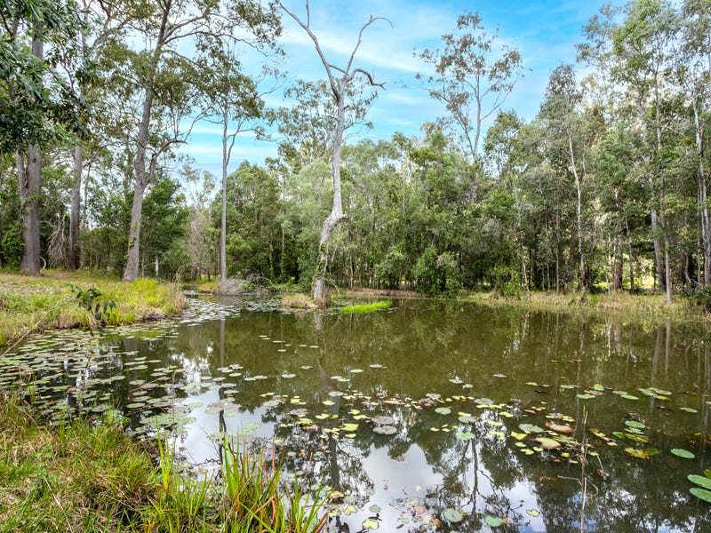 33 Toomey Street, Traveston, Qld 4570 - realestate.com.au