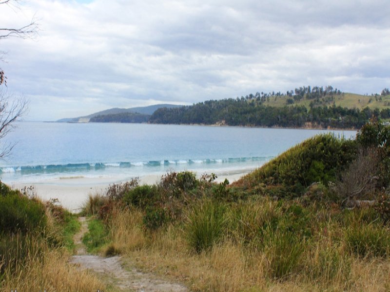 Big Roaring Beach Road, Surveyors Bay, Tas 7116 - Property Details