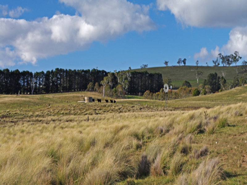 Monaro Hwy, Ando, NSW 2631 - Property Details