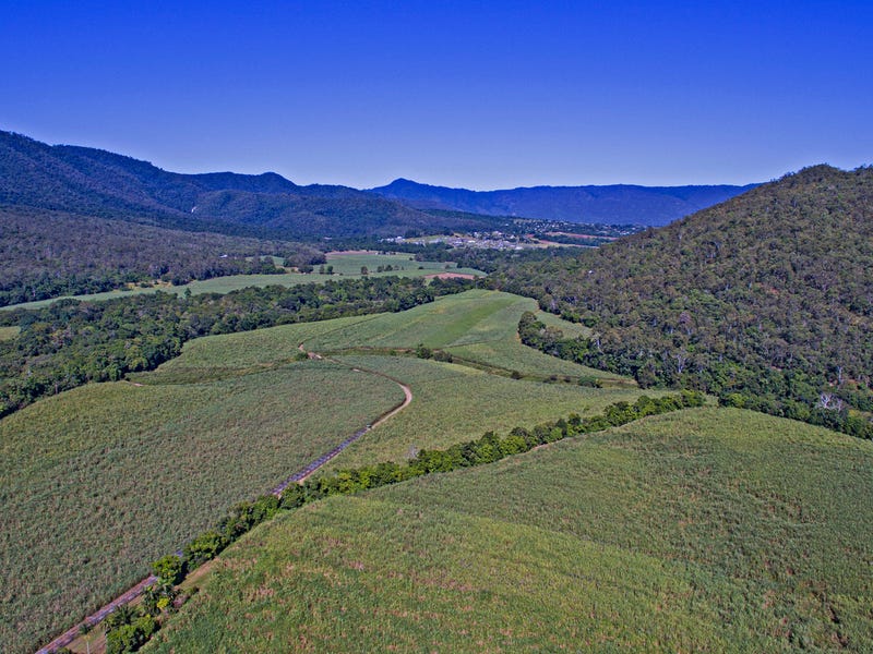 163 Gillies Range Road, Gordonvale, Qld 4865