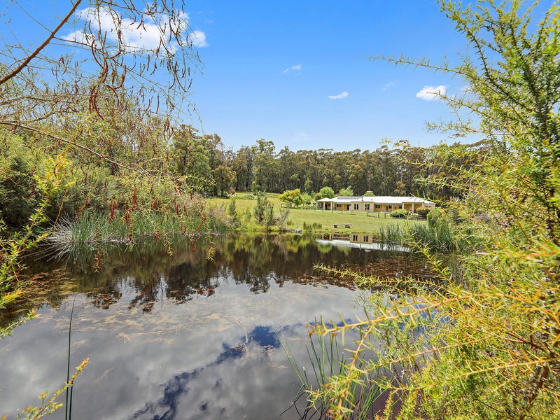 355 Forest Road, Labertouche, Vic 3816 - realestate.com.au