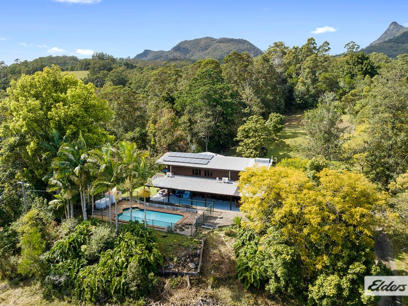 1345 Tyalgum Road, Tyalgum, NSW 2484 - realestate.com.au