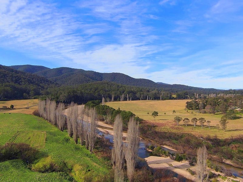 2460 Towamba Road, Towamba, NSW 2550 - realestate.com.au