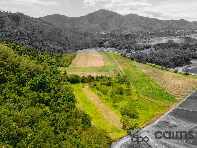 61 Gillies Range Road, Little Mulgrave, Qld 4865