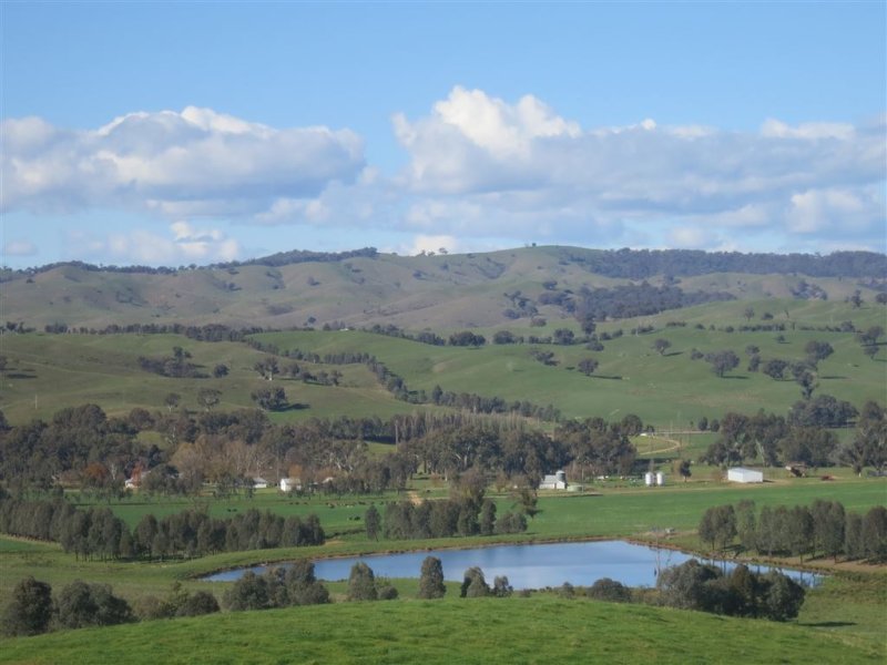 Humula Station, Humula Road via, Wagga Wagga, NSW 2650 - Property Details