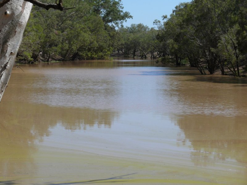 " Basin Downs", Surat, Qld 4417 - Property Details